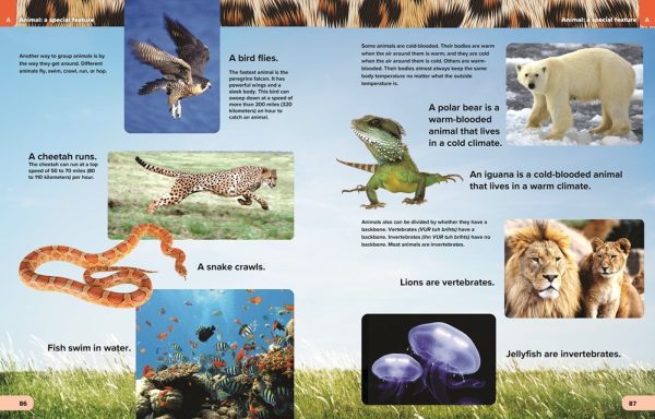 The Discovery Encyclopedia 2022 – Phoenix Education System