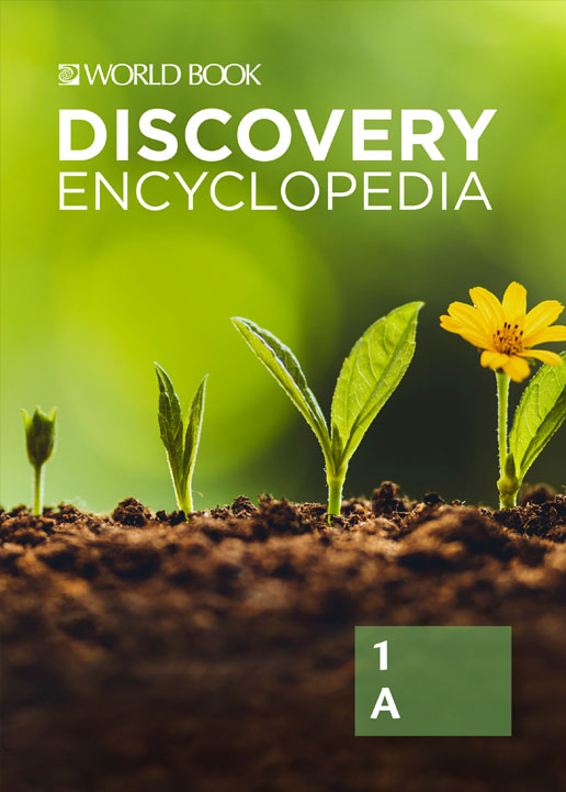 The Discovery Encyclopedia 2022 - Phoenix Educational System