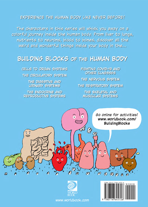 Building Blocks of the Human Body – Phoenix Education System