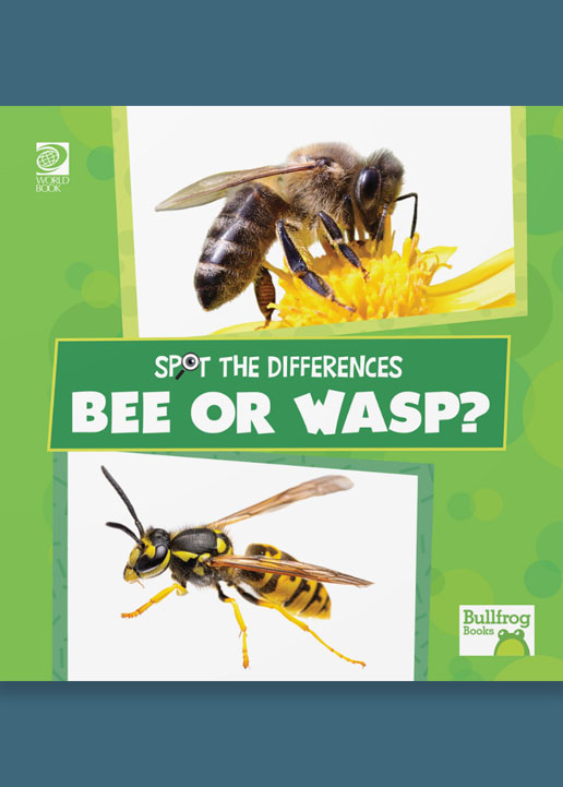 Spot the Difference Set 1 - Phoenix Educational System
