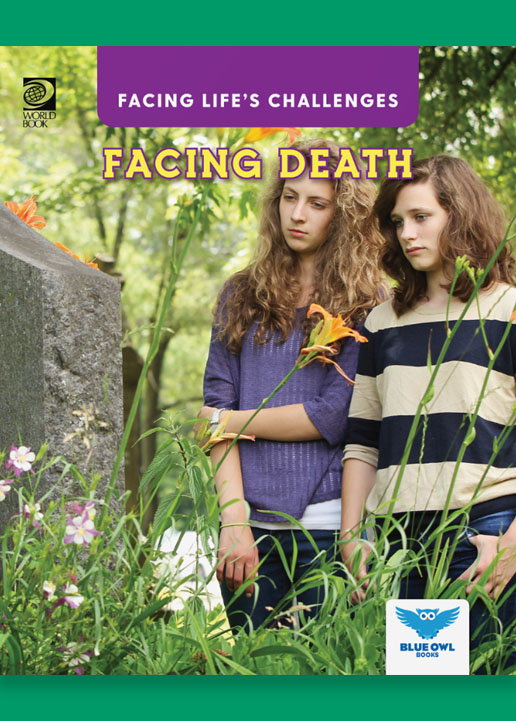 Facing Like’s Challenges – Phoenix Education System