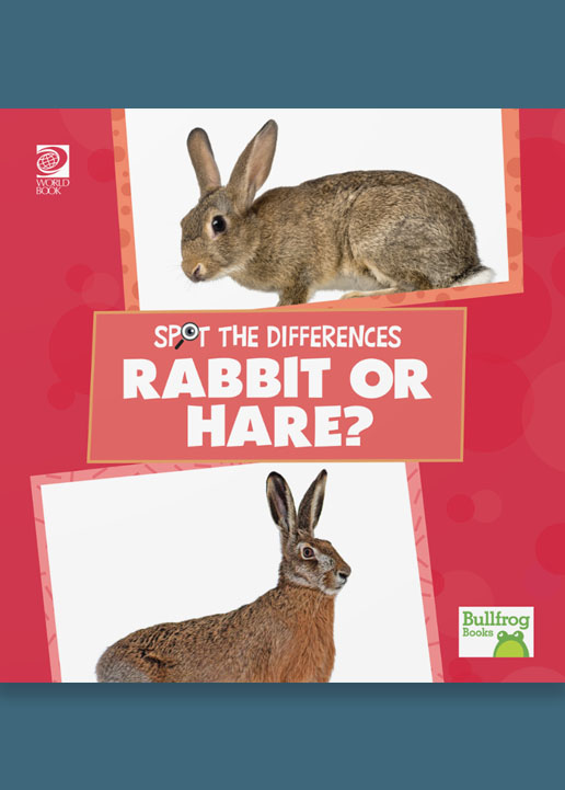 Spot the Difference Set 1 - Phoenix Educational System