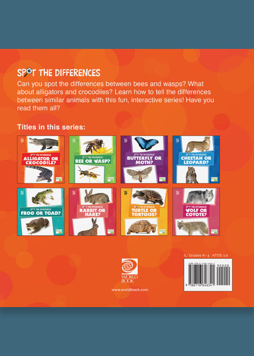 Spot the Difference Set 1 – Phoenix Education System